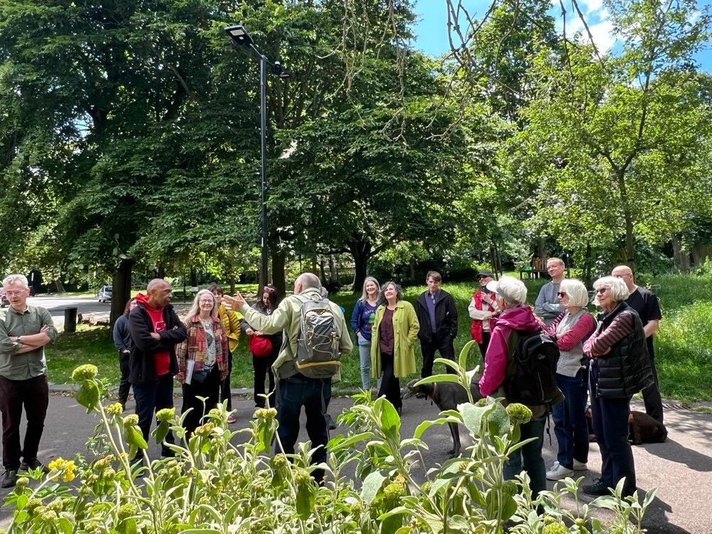 What we learned about the trees of Wray Crescent – Friends of Wray Crescent